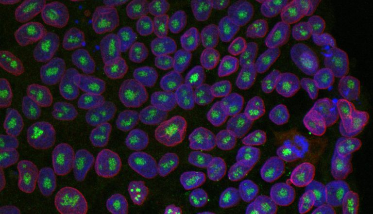 Team – Buchwalter Lab